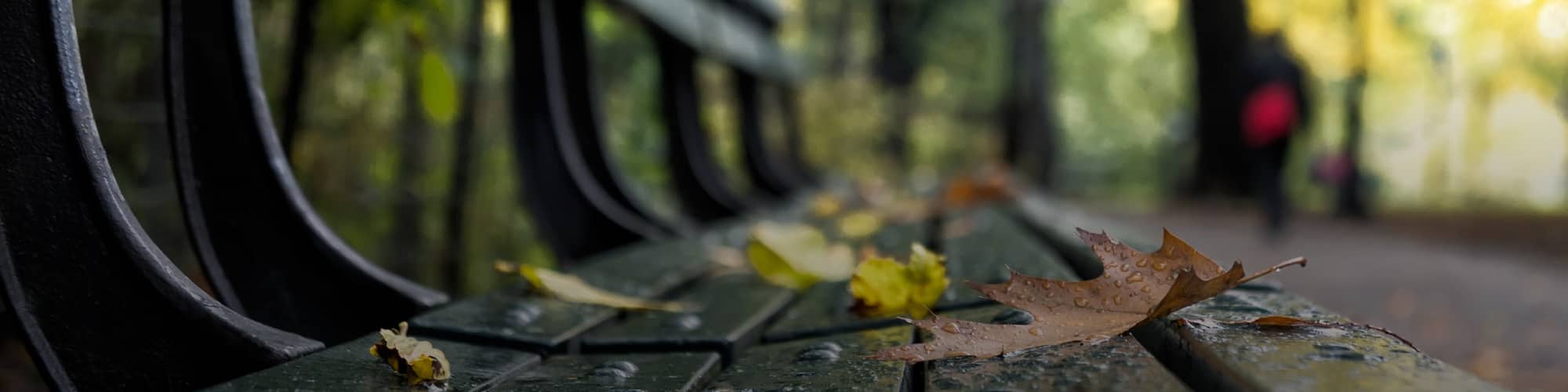 About Us - Petrillo Klein Boxer