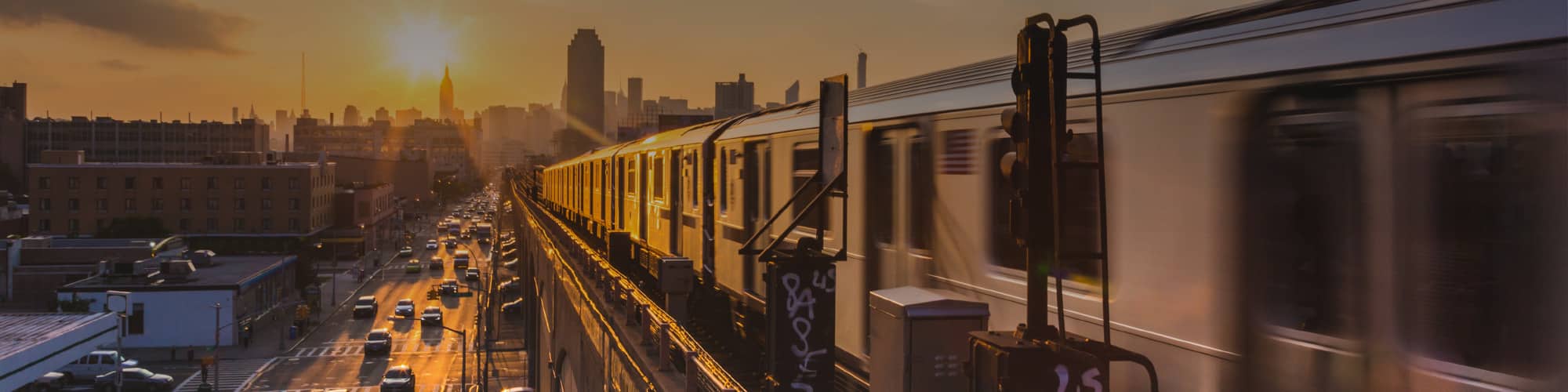 Pro Bono - Petrillo Klein Boxer