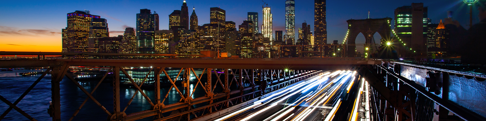 Our Team - Petrillo Klein Boxer